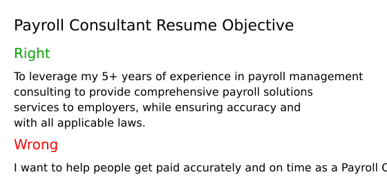 Top 17 Payroll Consultant Resume Objective Examples