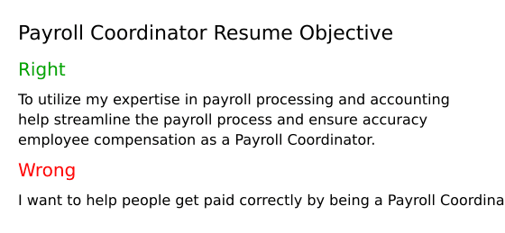 Top 17 Payroll Coordinator Resume Objective Examples