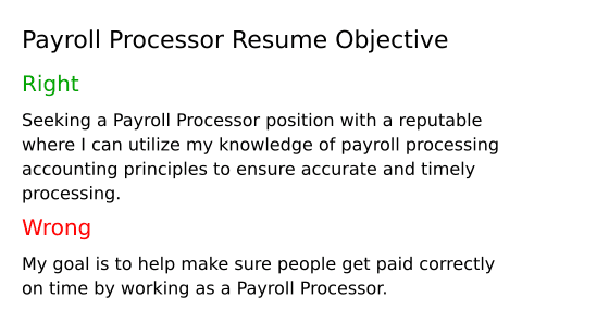 Top 16 Payroll Processor Resume Objective Examples