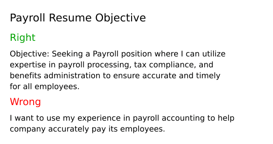 Top 16 Payroll Resume Objective Examples | ResumeCat