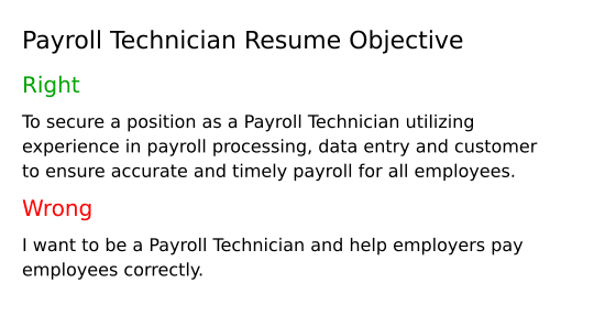 Top 18 Payroll Technician Resume Objective Examples