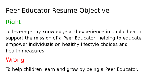 Top 17 Peer Educator Resume Objective Examples | ResumeCat