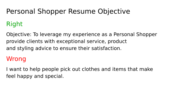 Top 17 Personal Shopper Resume Objective Examples