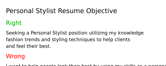 Top 16 Personal Stylist Resume Objective Examples