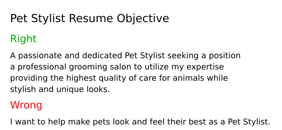 Top 17 Pet Stylist Resume Objective Examples | ResumeCat