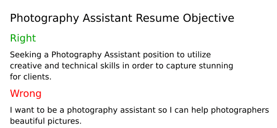 Top 18 Photography Assistant Resume Objective Examples