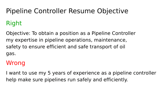 Top 18 Pipeline Controller Resume Objective Examples