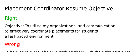 Top 17 Placement Coordinator Resume Objective Examples