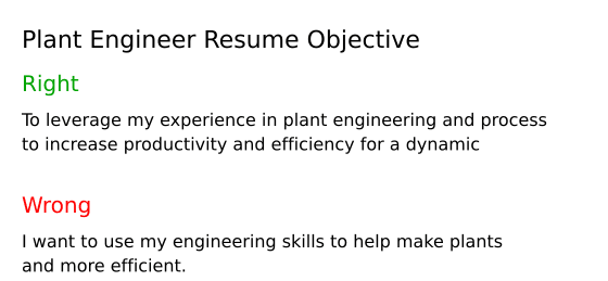 Top 18 Plant Engineer Resume Objective Examples | ResumeCat