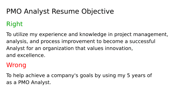 Top 18 PMO Analyst Resume Objective Examples | ResumeCat