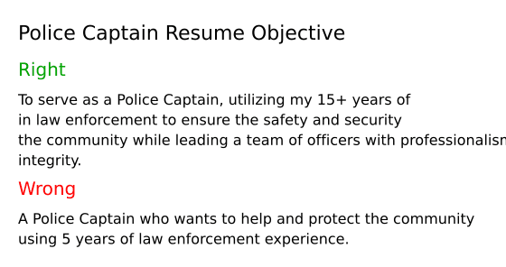 Top 18 Police Captain Resume Objective Examples | ResumeCat