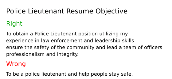 Top 17 Police Lieutenant Resume Objective Examples