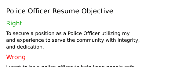 Top 18 Police Officer Resume Objective Examples | ResumeCat