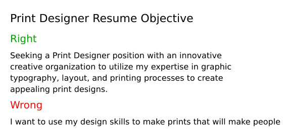 Top 17 Print Designer Resume Objective Examples | ResumeCat