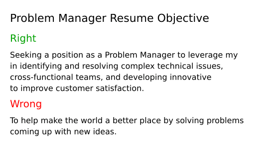 Top 18 Problem Manager Resume Objective Examples | ResumeCat