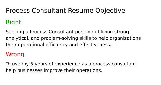 Top 17 Process Consultant Resume Objective Examples