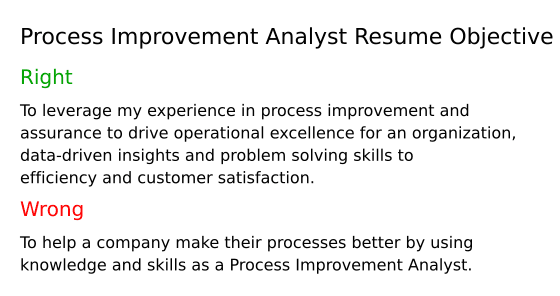 Top 18 Process Improvement Analyst Resume Objective Examples