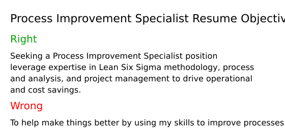 Top 18 Process Improvement Specialist Resume Objective Examples