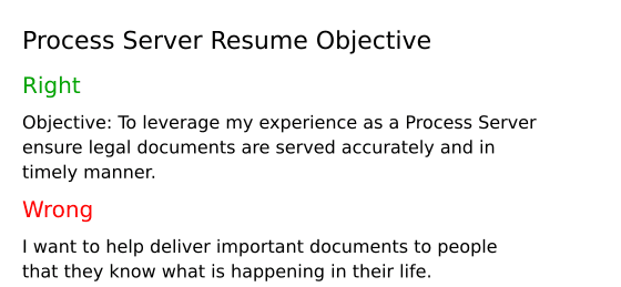 Top 18 Process Server Resume Objective Examples | ResumeCat