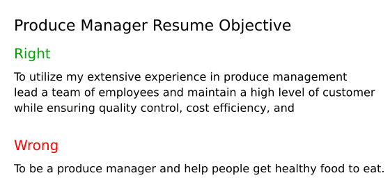 Top 18 Produce Manager Resume Objective Examples | ResumeCat