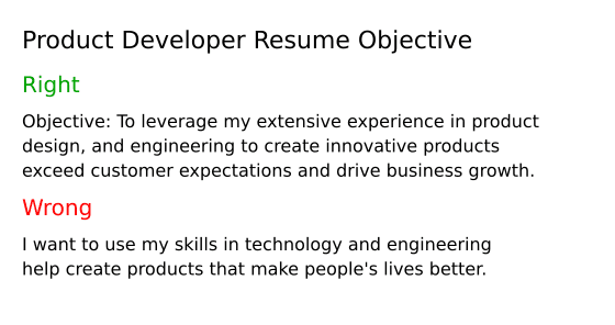 Top 18 Product Developer Resume Objective Examples