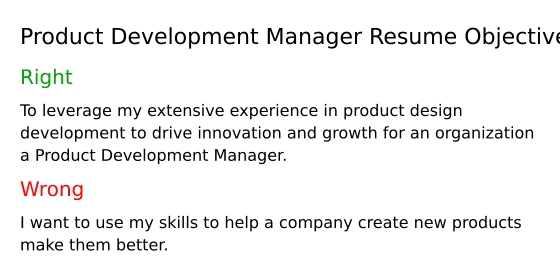 Top 18 Product Development Manager Resume Objective Examples
