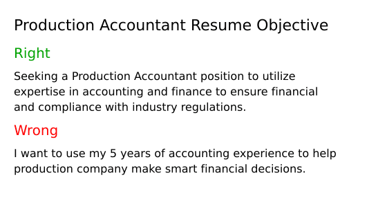 Top 16 Production Accountant Resume Objective Examples