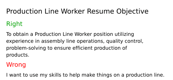 Top 18 Production Line Worker Resume Objective Examples
