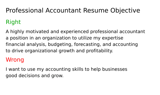 Top 17 Professional Accountant Resume Objective Examples