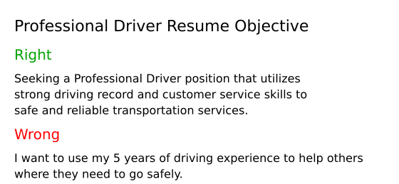 Top 16 Professional Driver Resume Objective Examples