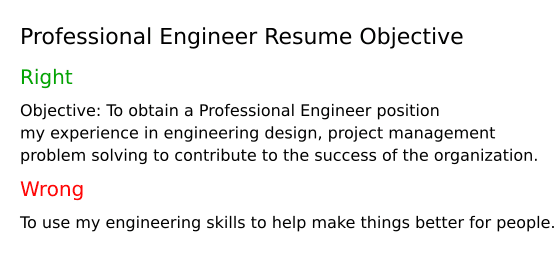 Top 17 Professional Engineer Resume Objective Examples
