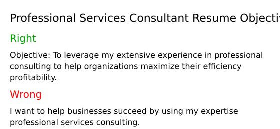 Top 16 Professional Services Consultant Resume Objective Examples