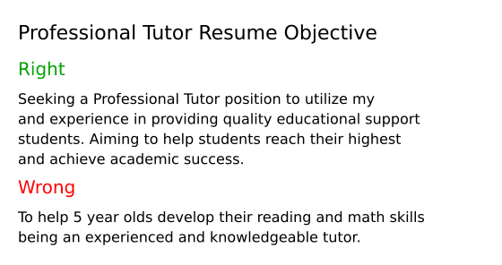 Top 18 Professional Tutor Resume Objective Examples