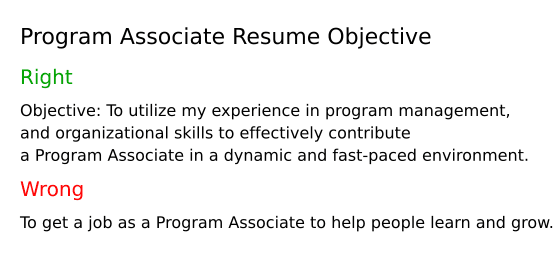 Top 17 Program Associate Resume Objective Examples