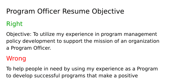 Top 17 Program Officer Resume Objective Examples | ResumeCat