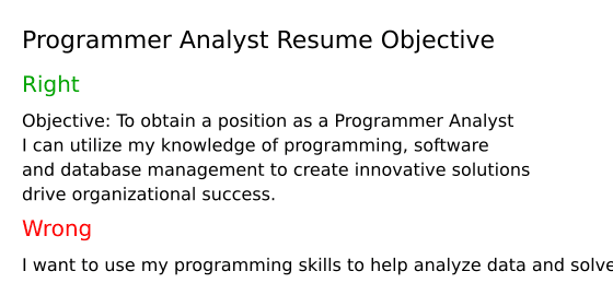 Top 18 Programmer Analyst Resume Objective Examples