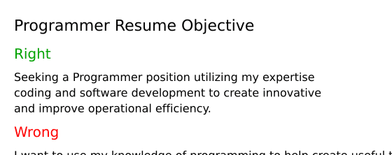 Top 16 Programmer Resume Objective Examples | ResumeCat