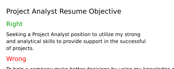 Top 18 Project Analyst Resume Objective Examples | ResumeCat