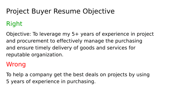 Top 17 Project Buyer Resume Objective Examples | ResumeCat