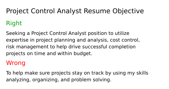 Top 18 Project Control Analyst Resume Objective Examples