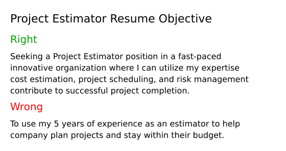 Top 18 Project Estimator Resume Objective Examples