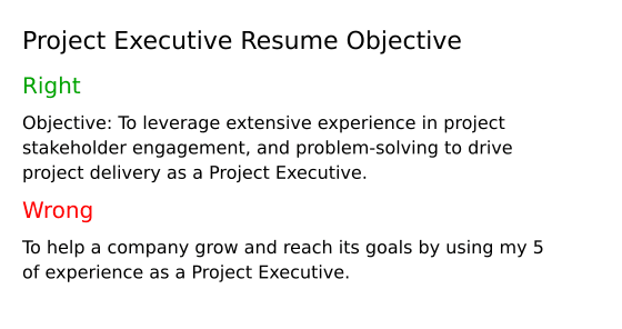 Top 16 Project Executive Resume Objective Examples