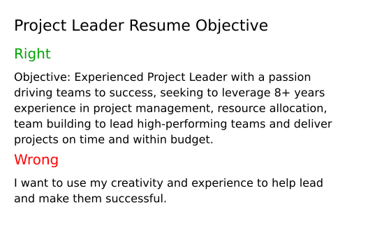 Top 16 Project Leader Resume Objective Examples | ResumeCat