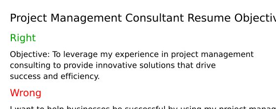 Top 17 Project Management Consultant Resume Objective Examples