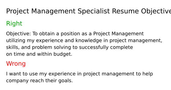 Top 17 Project Management Specialist Resume Objective Examples