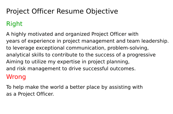 Top 16 Project Officer Resume Objective Examples | ResumeCat