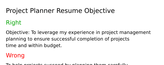 Top 17 Project Planner Resume Objective Examples | ResumeCat