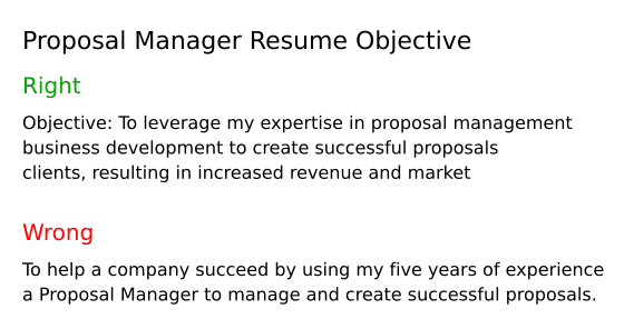Top 16 Proposal Manager Resume Objective Examples