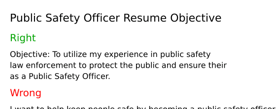 Top 16 Public Safety Officer Resume Objective Examples