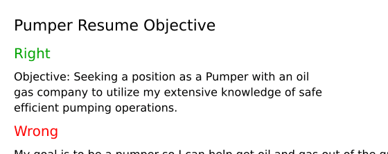 Top 16 Pumper Resume Objective Examples | ResumeCat